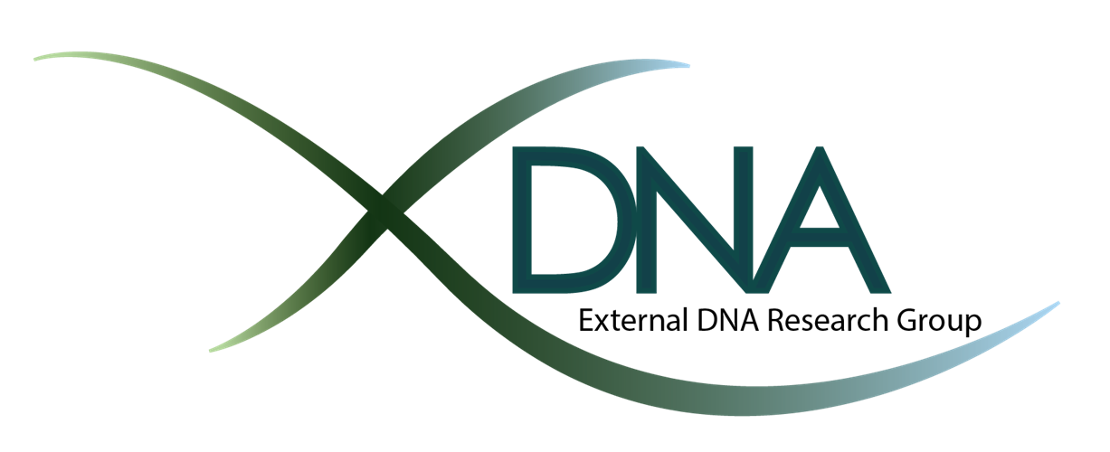 About – Bear Bones